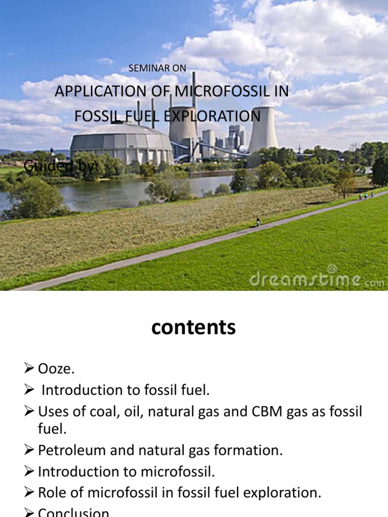Application of Microfossil in Fossil Fuel Exploration Guided by | PDF ...