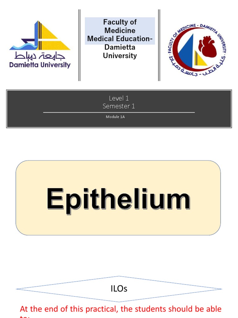 Classification and Identification of Epithelial Tissues: A Focus on ...