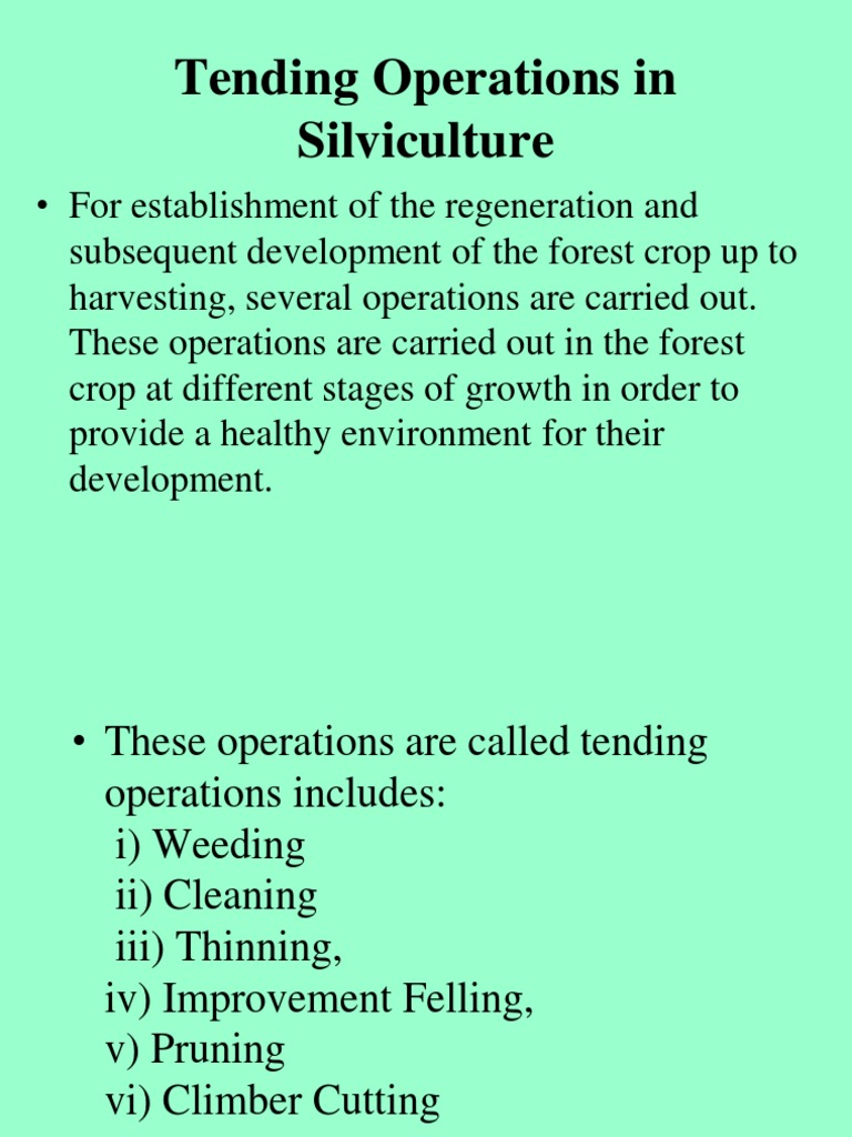 Tending Operations in Silviculture | PDF | Pruning | Trees