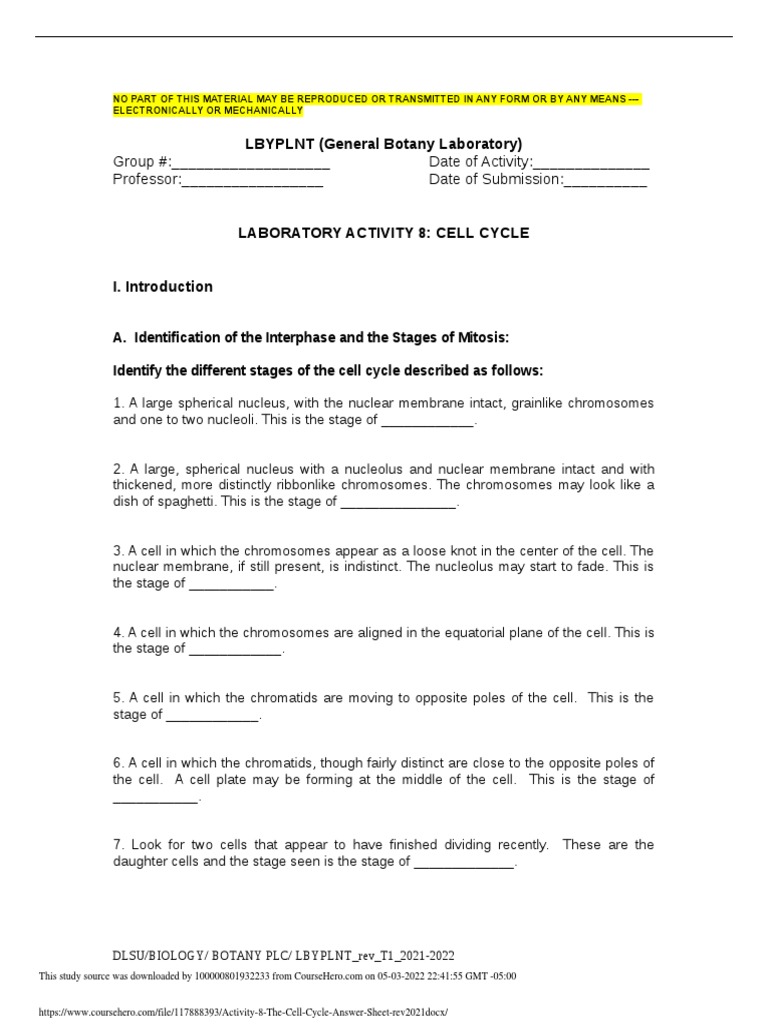 Activity 8 The Cell Cycle Answer Sheet Rev2021 | PDF