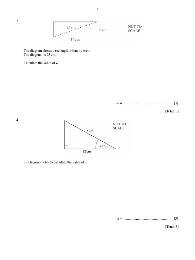 Year 10 Trig Practice | PDF | Triangle | Area