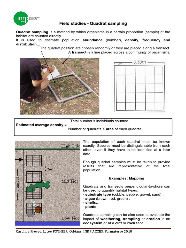 Field Studies - Quadrat Sampling | PDF | Young Adult
