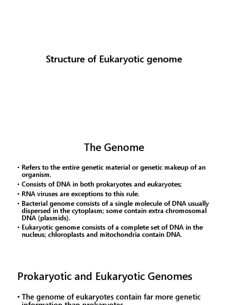 Structure of Eukaryotic Genome | PDF | Genome | Gene