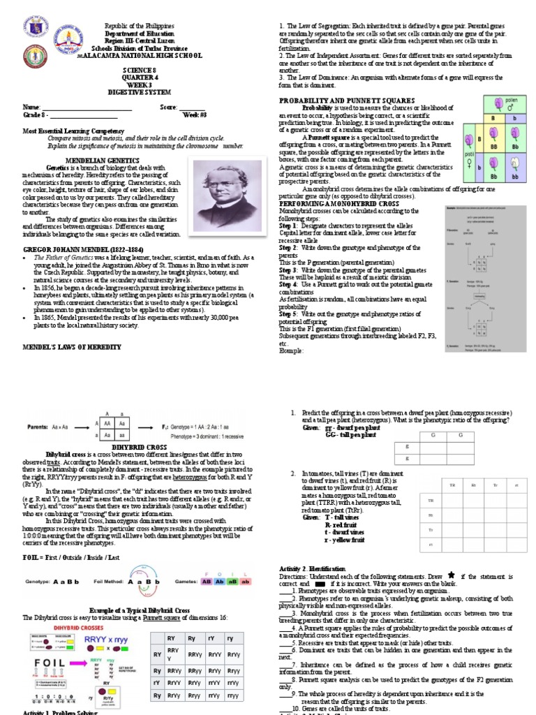 Mendelian Genetics for Grade 8 Science | PDF | Dominance (Genetics ...