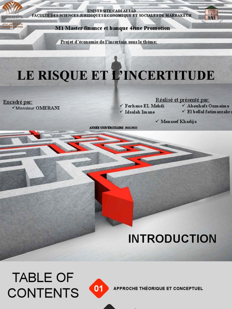 Risque&Incertitude | PDF | Risque | Gestion des risques