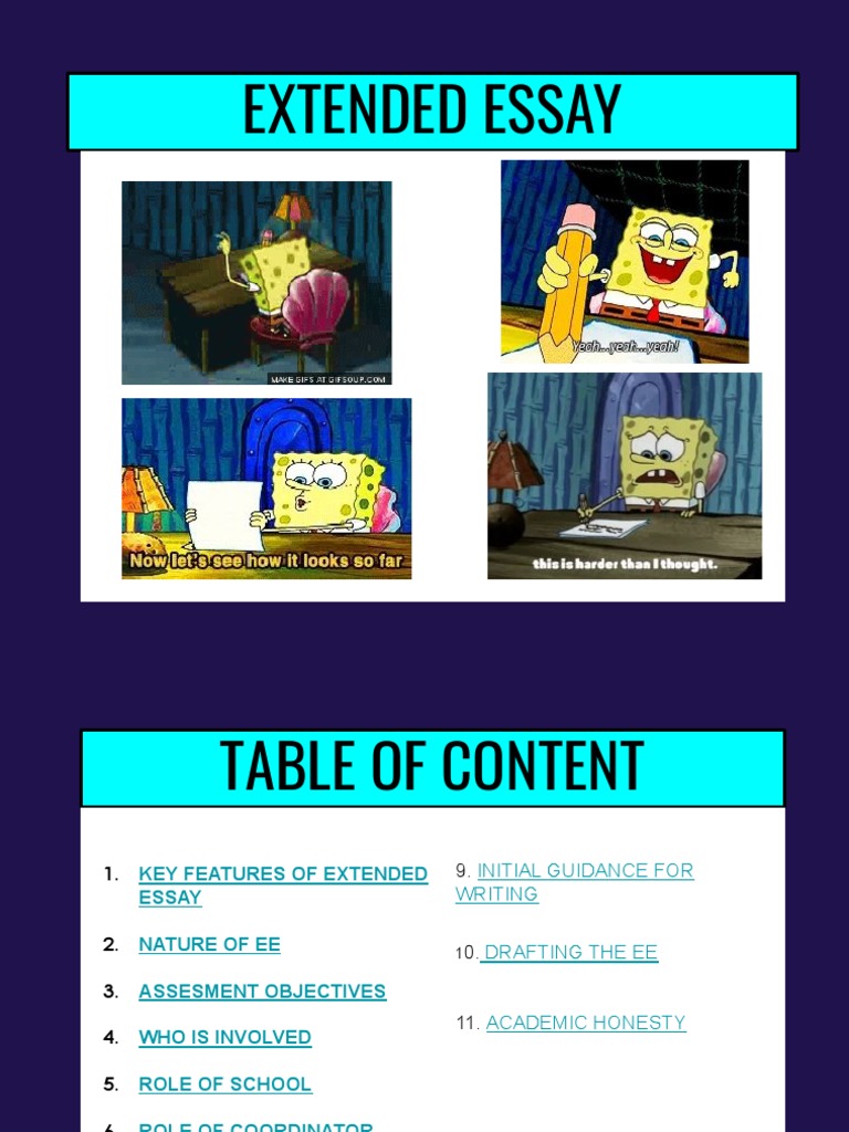 Extended Essay | PDF | Essays | Educational Assessment