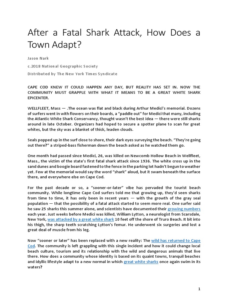 Cape Cod's Response to Shark Attack | PDF | Sharks | Great White Shark