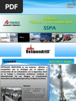 13 Directrices de Cero Tolerancia de Pemex | PDF