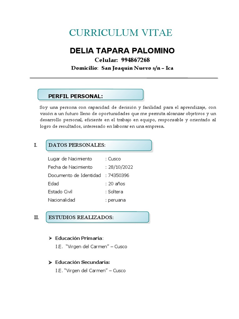 Curriculum Vitae Delia Tapara Palomino | PDF
