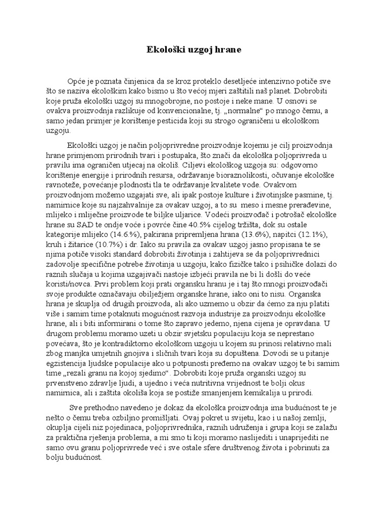 Filozofski Esej | PDF