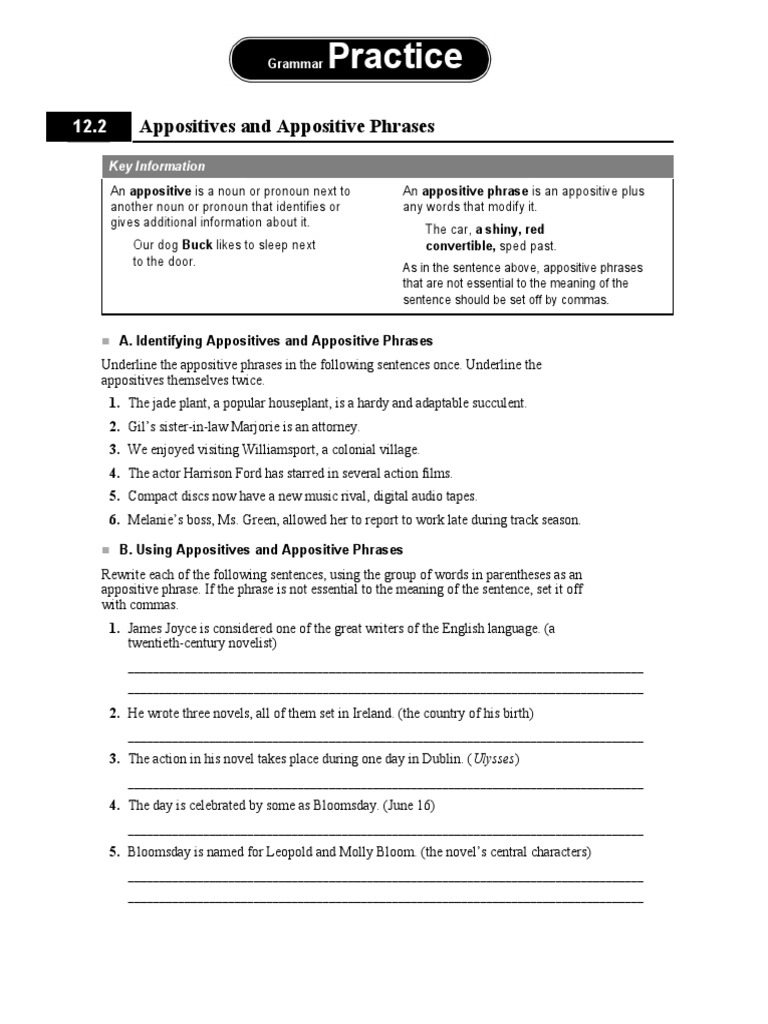 Appositives and Appositive Phrases | PDF | Ulysses (Novel) | Cognitive ...