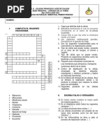 Sopa de Letras de Respiracion Celular - 1 PDF | PDF | Artes del ...