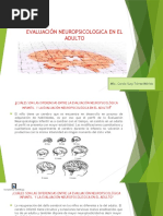 Mini Cog Spanish | PDF | Reloj