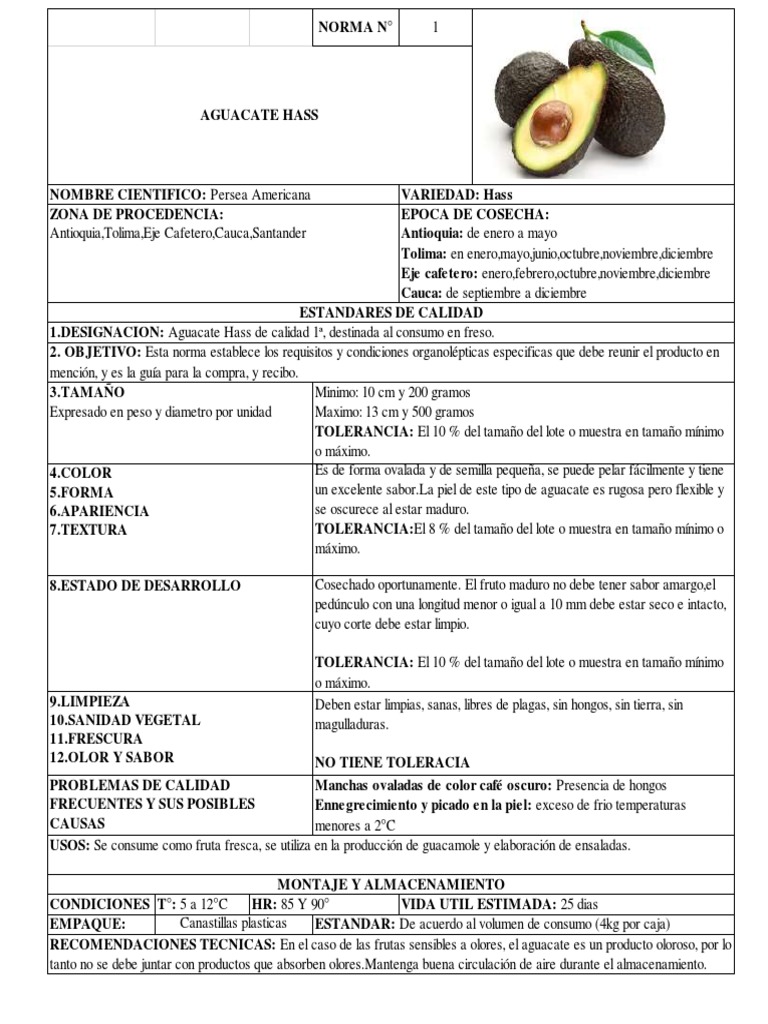 Ficha Tecnica Aguacate Hass | PDF | Aguacate | Comida y bebida