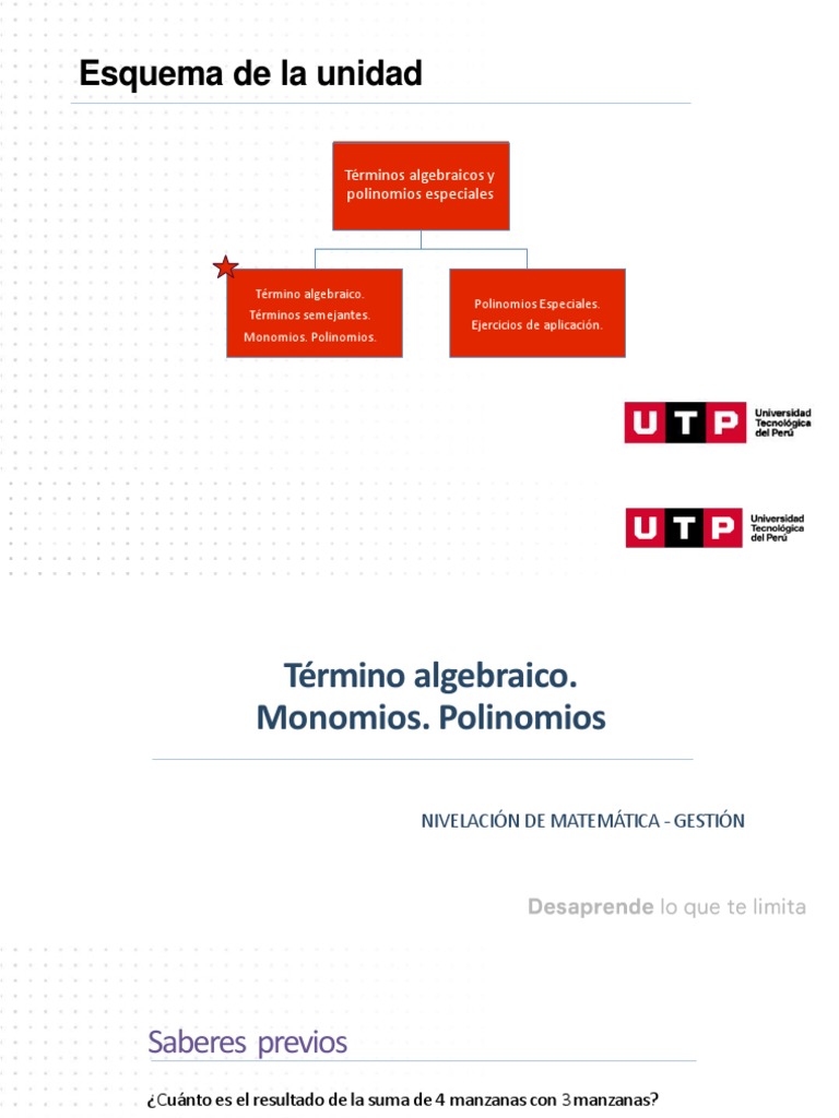 Términos y Polinomios Algebraicos | PDF | Análisis numérico | Aritmética