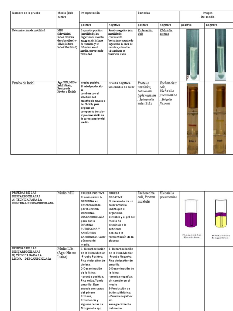 Tabla de Pruebas Bioquímicas | PDF | Color | Química