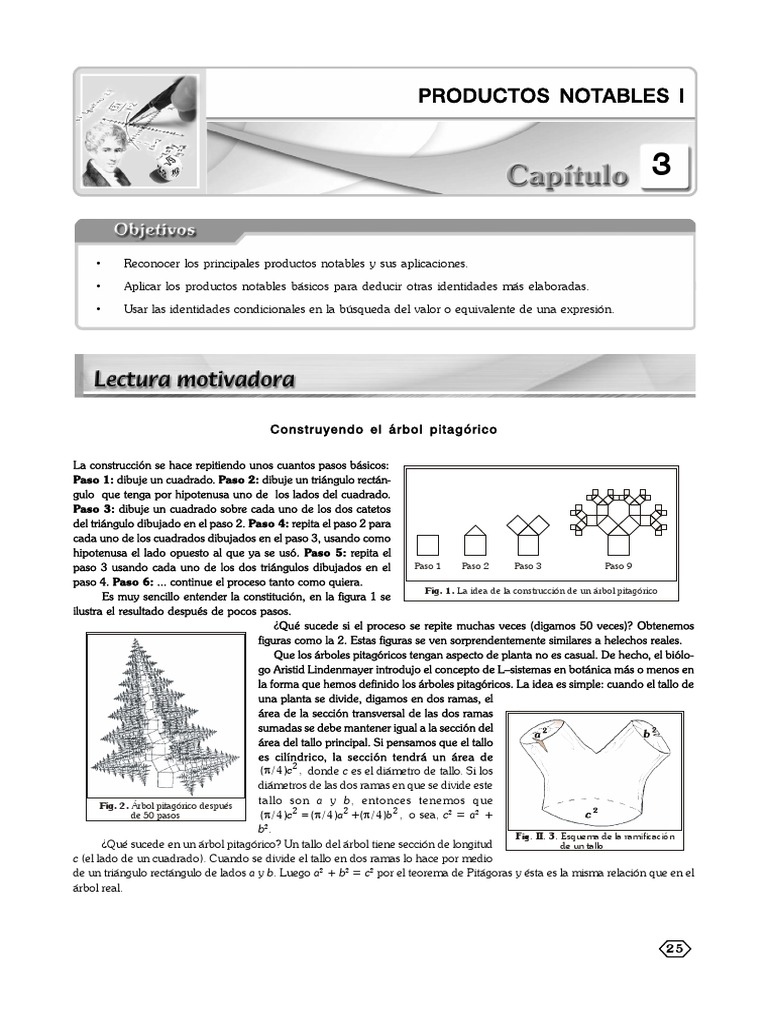 Productos Notables Y árboles Pitagóricos Pdf Triángulo Multiplicación