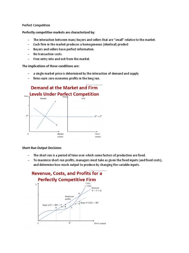 Perfect Competition | PDF