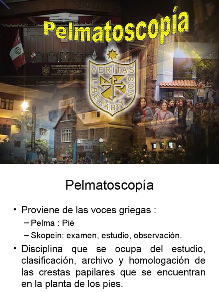 Pelmatos | PDF | Pie