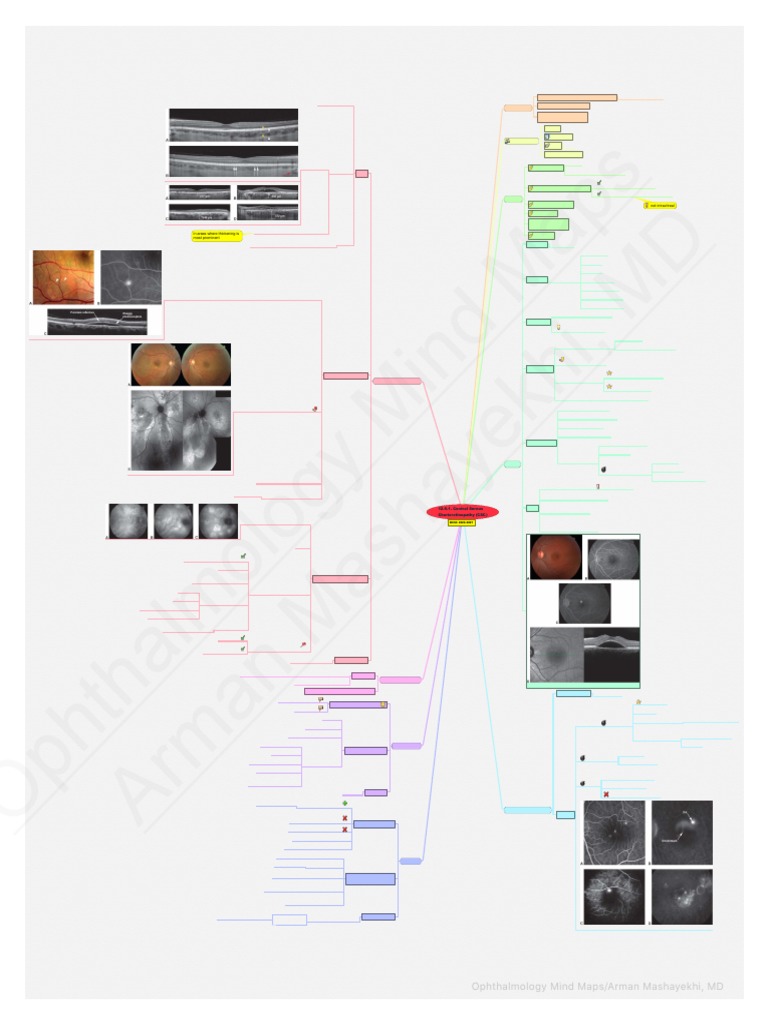 Mind Maps MD: (© 2020 American Academy of Ophthalmology) | PDF | Retina ...