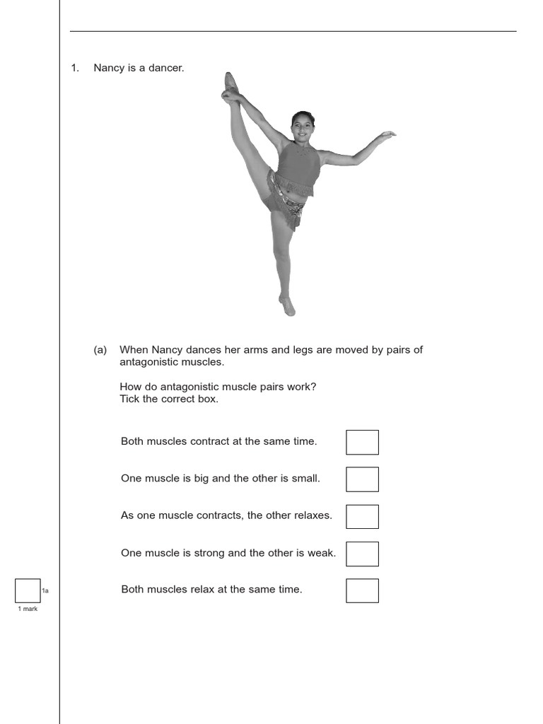 KS3 Science 2009 Paper 2 Level 5-7 | PDF | Pluto | Planets