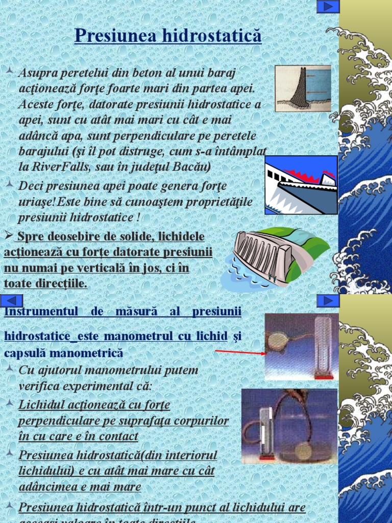 Presiunea Hidrostatica | PDF