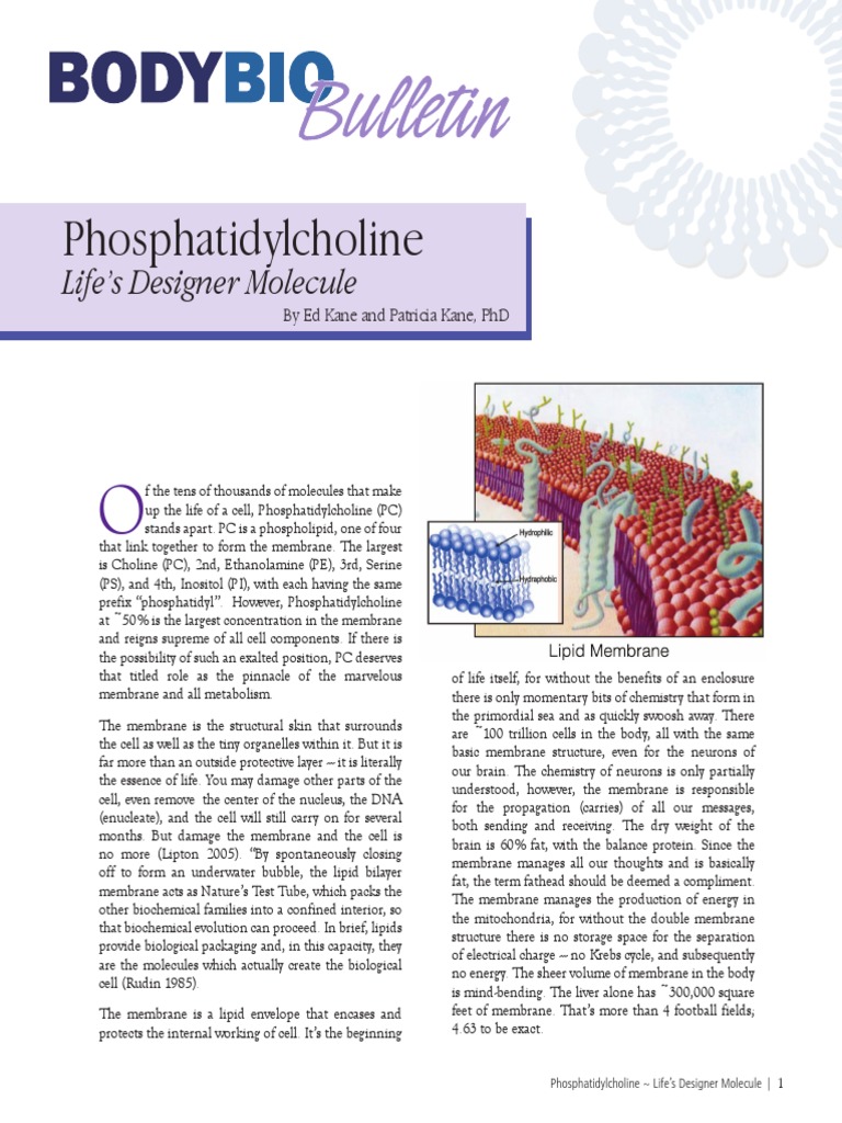 Phosphatidylcholine: Life's Designer Molecule | PDF | Cell Membrane ...