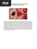 Hachinski Ischemic Score Assessment | PDF | Mental And Behavioural ...