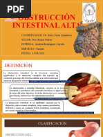 Protocolo Sydney y Estadificacion Olga | PDF | Cáncer | Atrofia