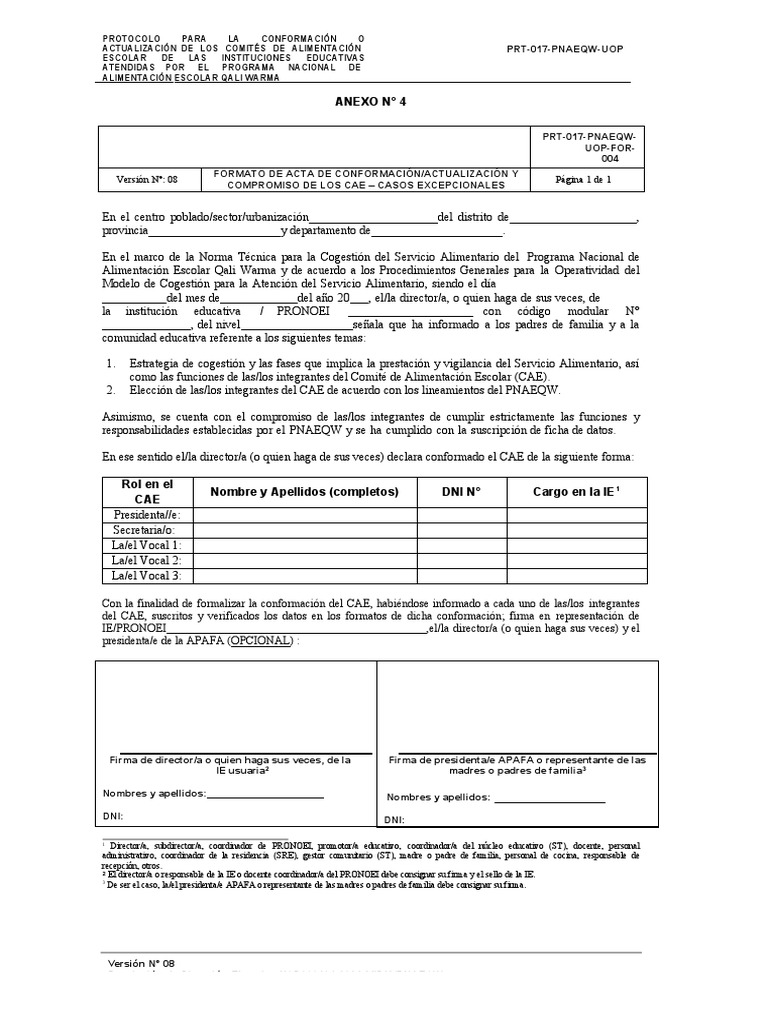 Formatos CAE 2022 - ACTUALIZACION | PDF | Privacidad de la información