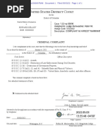 Special Agent Declaration | PDF | Special Agent