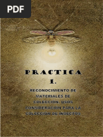 Guia Tecnica para Colecta y Preservacion de Insectos V Final | PDF ...
