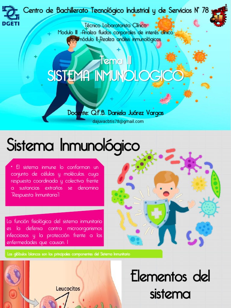Sistema Inmunologico | PDF | Sistema inmune | Linfocitos
