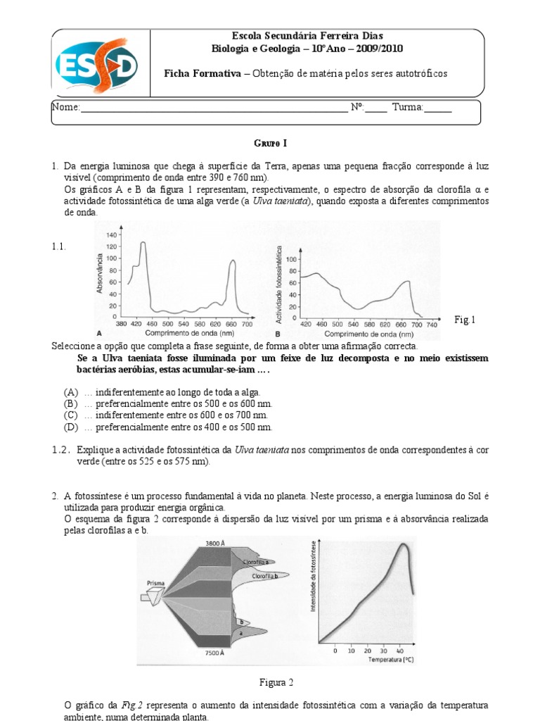 Autotrofia | PDF | Fotossíntese | Cor