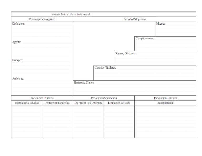 Formato Hne | PDF
