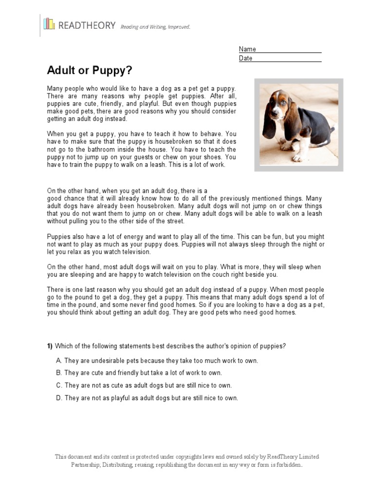 6th Grade Reading | PDF