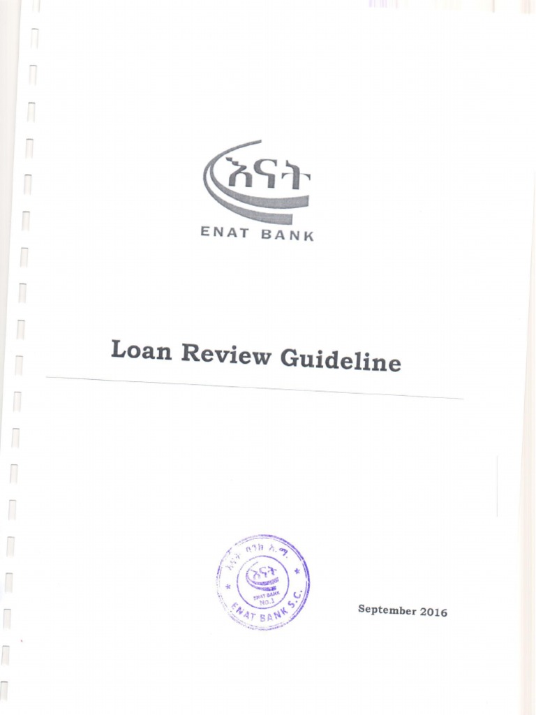 5.loan Review Guideline | PDF