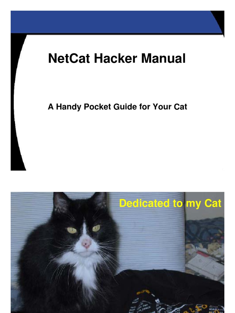 Netcat Commands Pdf Port Computer Networking System Software 3020