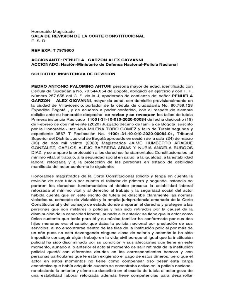 Insistencia Revision Tutela 7979600 | Descargar gratis PDF | Principios éticos | Crimen y violencia