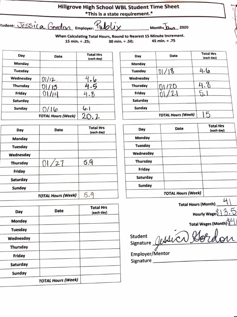 January Time Sheet 1 | PDF