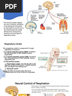 Aaos Rom Values | PDF | Anatomical Terms Of Motion | Limbs (Anatomy)