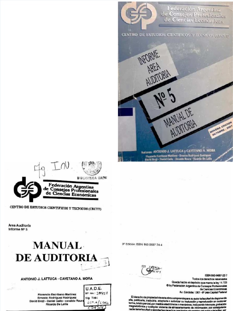 Lattuca - Informe 5 | PDF