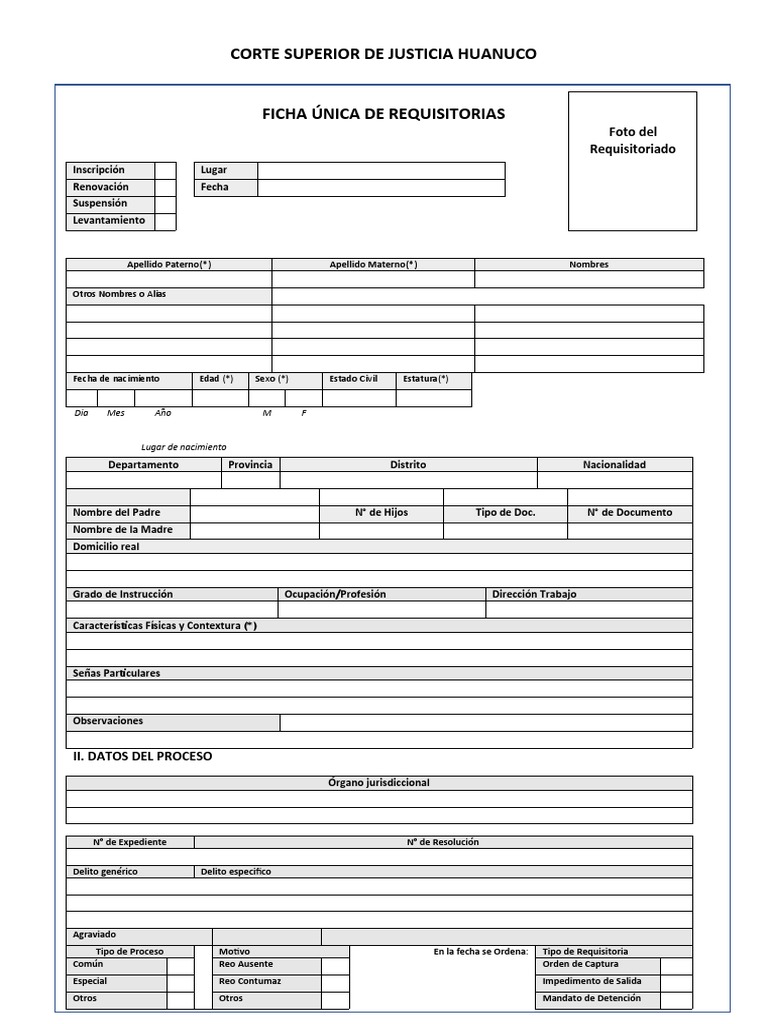 Ficha Unica de Rq. | PDF | Gobierno | Justicia