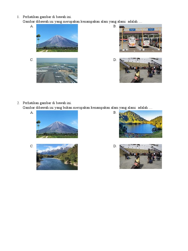 Soal IPS SDLB.. | PDF