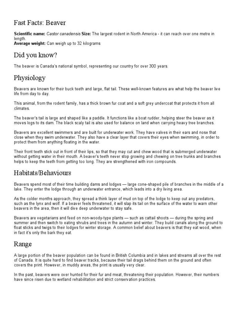 Beaver Anatomy | PDF | Beaver | Mammals