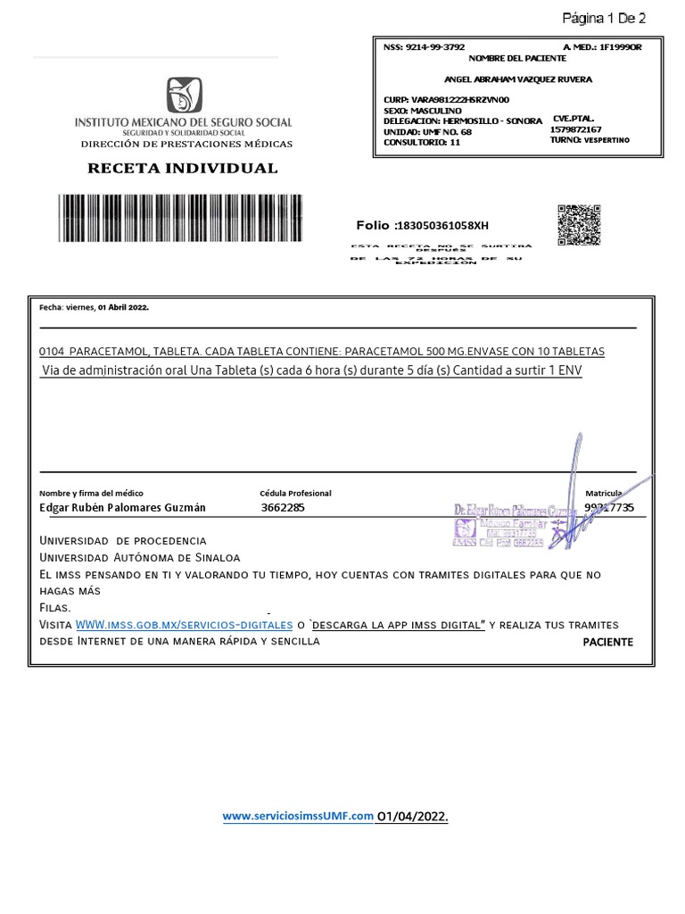 Formato 2021 Imss | PDF