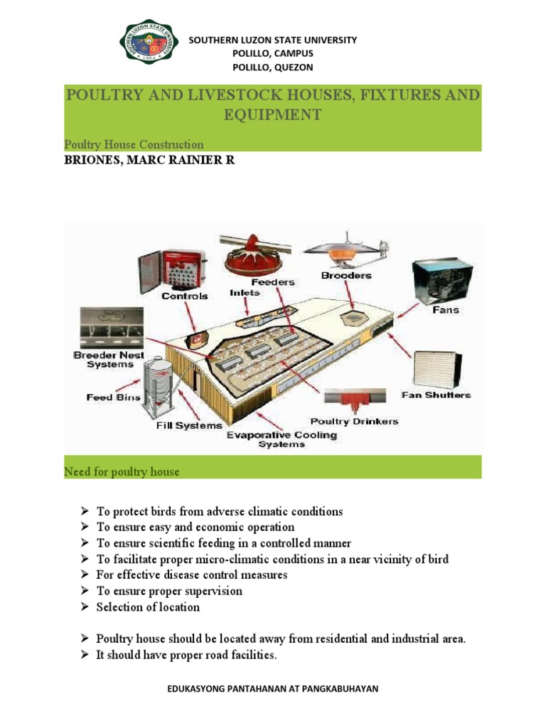 Poultry Production | PDF | Poultry Farming