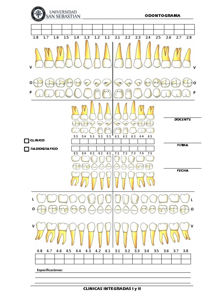 Manual Odontograma - Uss 2019 | PDF