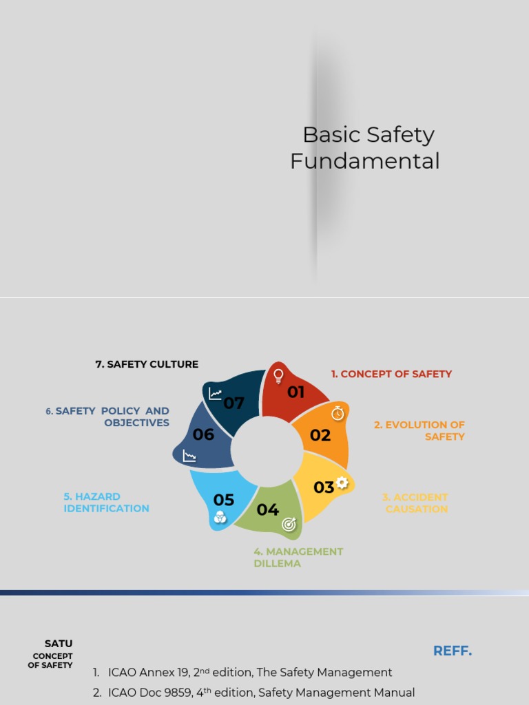 Aviation Safety Management Overview | PDF | Audit | Policy