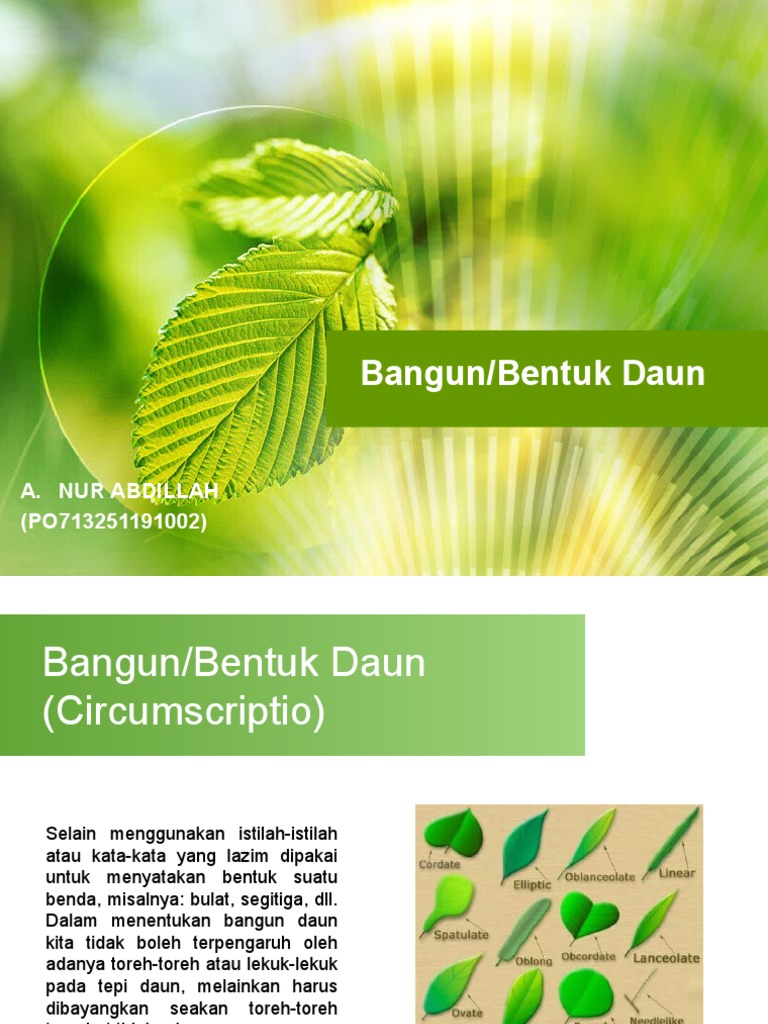 Ciri dan Bentuk Daun Bangun-Bangun | PDF | Sains & Matematika